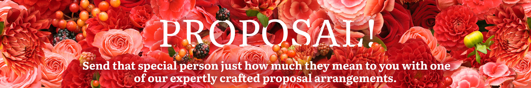 Proposal – Secret Garden Rose