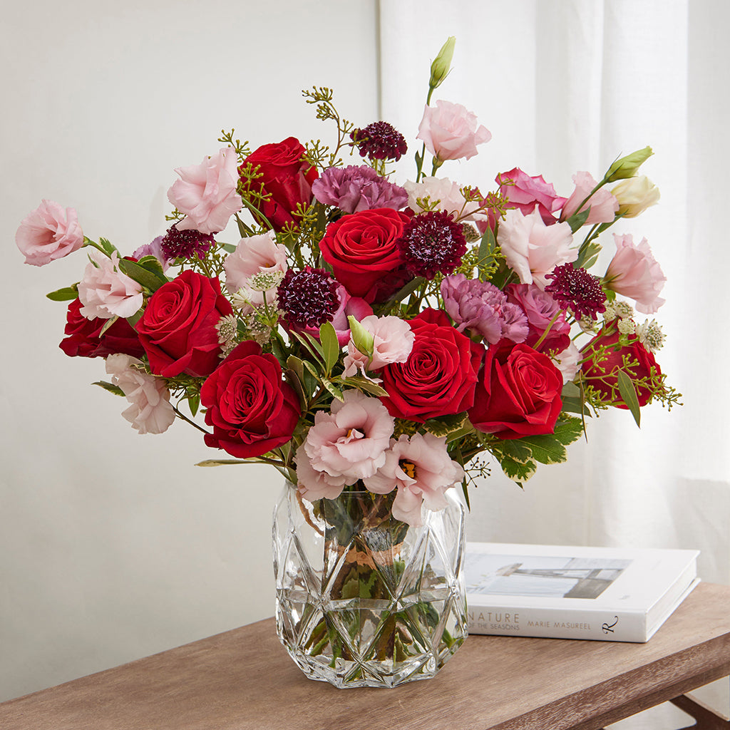 Philadelphia – Secret Garden Rose